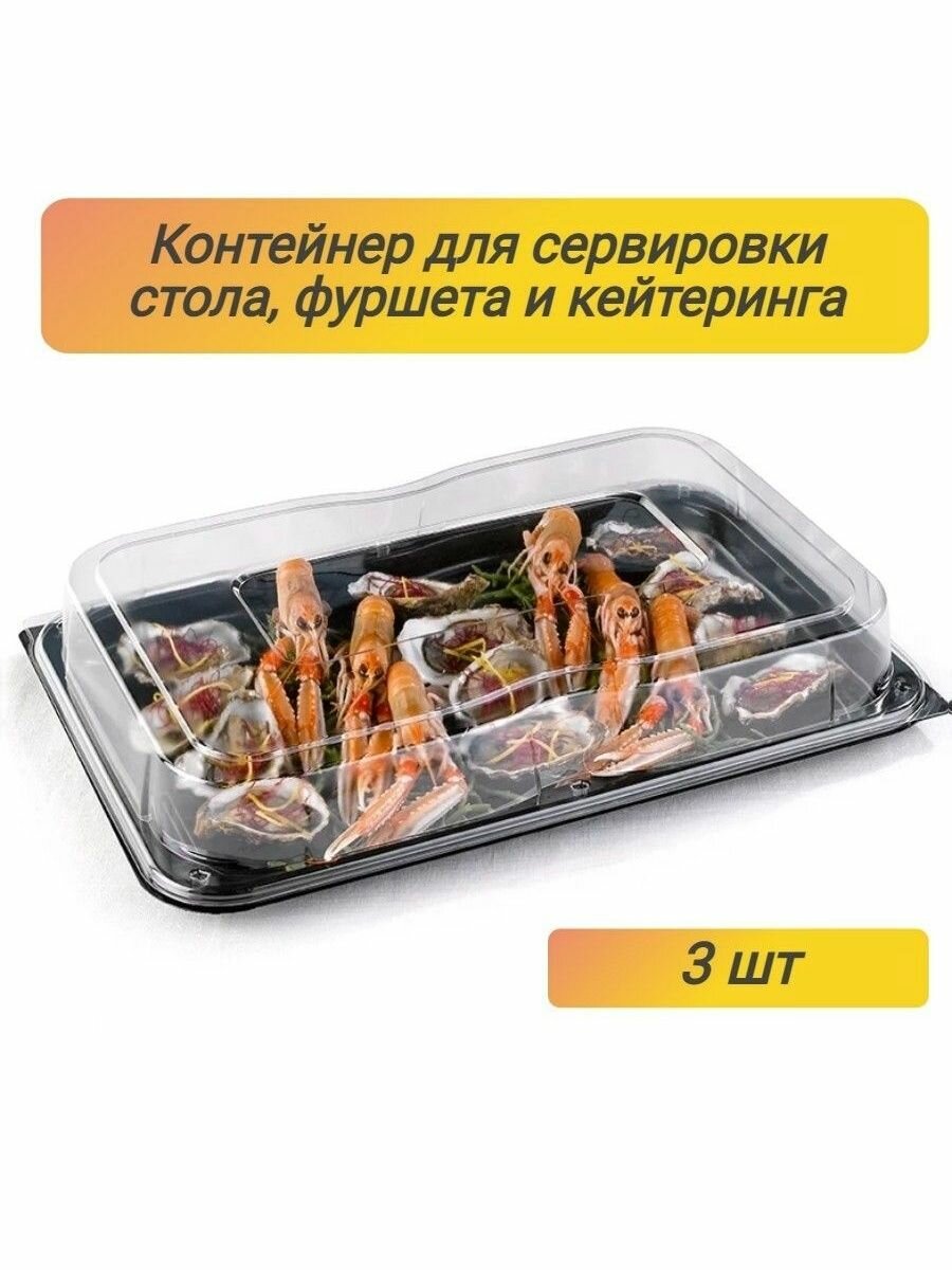 Контейнер одноразовый прямоугольный пищевой для кейтеринга фуршета КД 518 поднос прозрачный большой 3 шт.