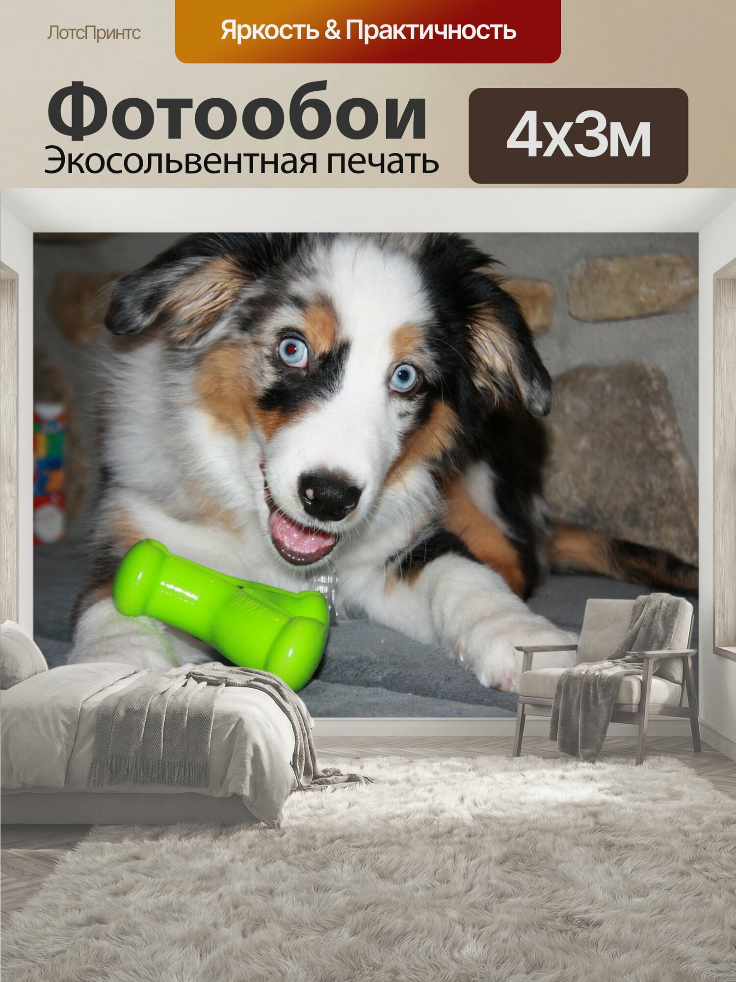 Фотообои "Собака, щенок, домашнее животное" 400x300 см. экосольвентная печать