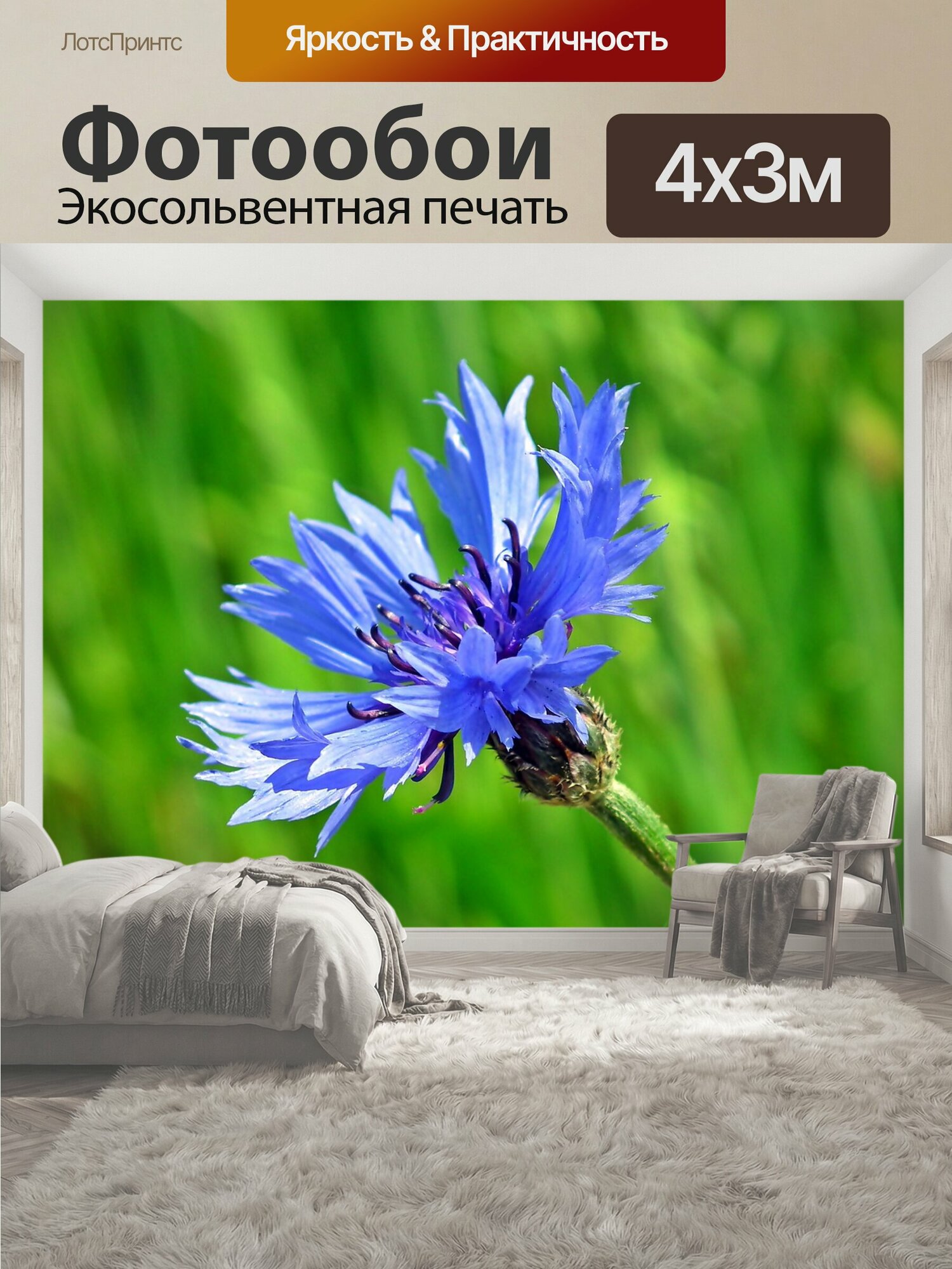 Фотообои "Васильки, цветы, синий" 400x300 см. экосольвентная печать