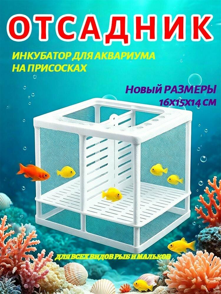 Отсадник с сеткой для аквариума для рыб инкубатор для мальков 16х15х14 см с перегородкой. Экономика, доступные,
