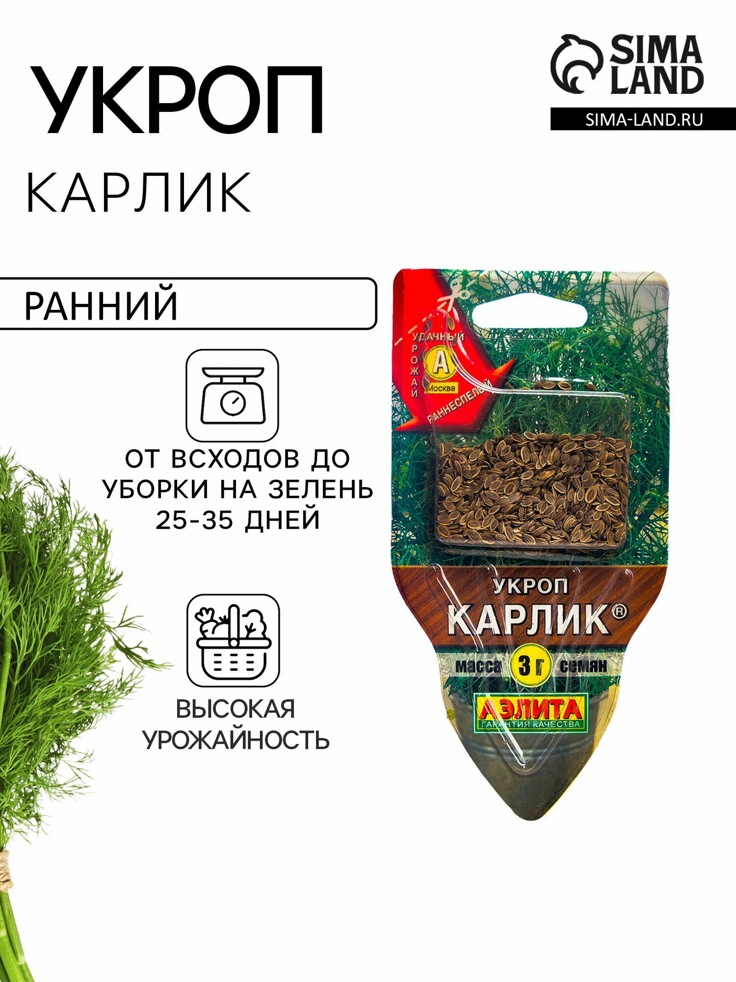 Семена Укроп "Карлик", сеялка, 3 г, вид: простые семена, урожай: август - сентябрь