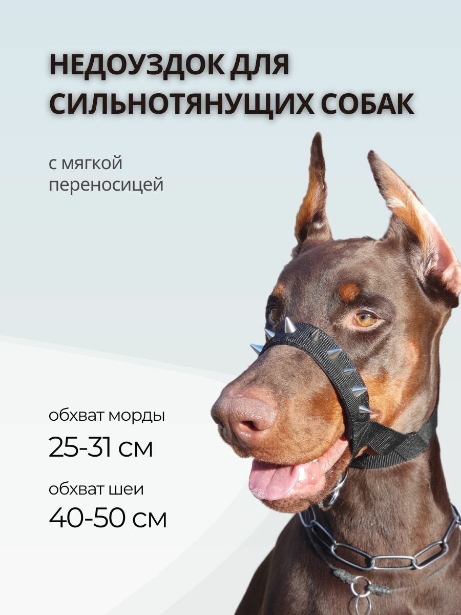 Недоуздок (халти) с шипами для крупной собаки