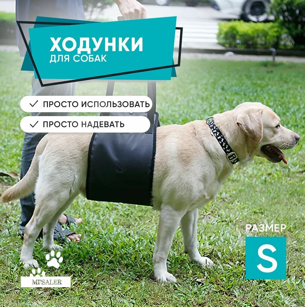 Ходунки, поддержка лап пожилых и травмированных собак. Размер S