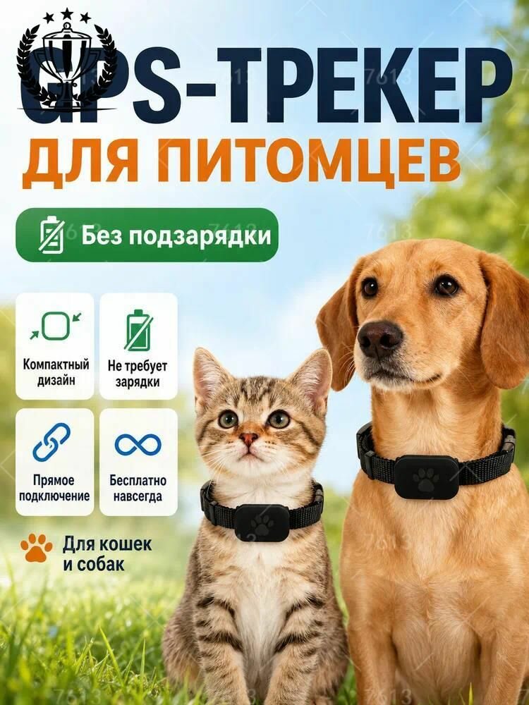 GM Ошейник-локатор для кошек и собак, трекер для питомца
