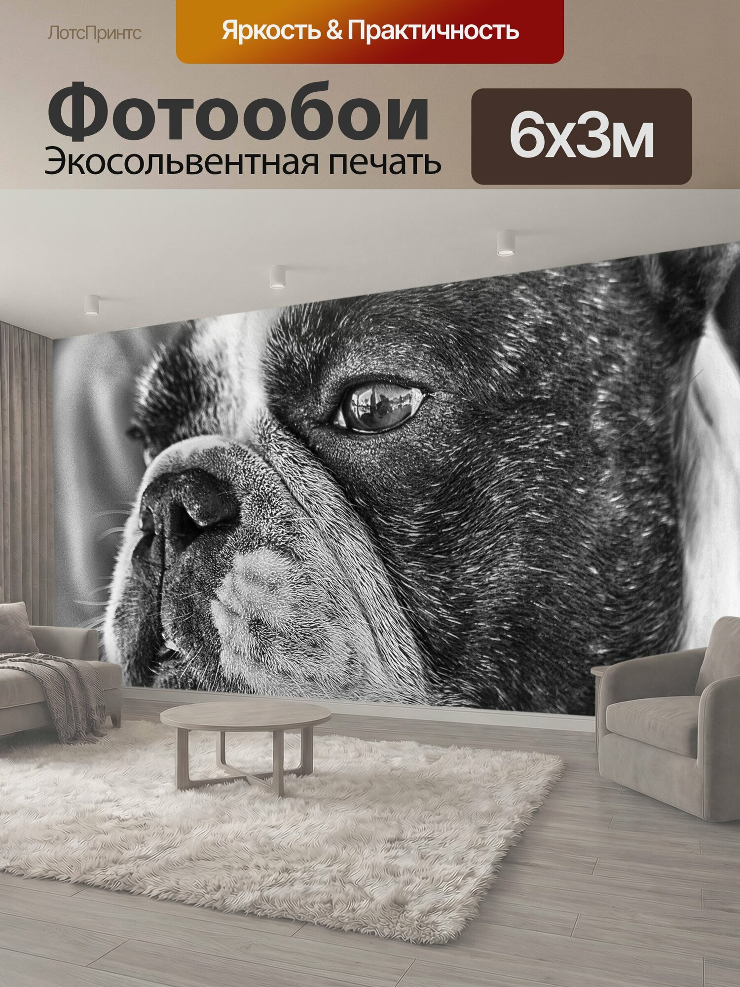 Фотообои "Французский бульдог, собака, талисман" 600x300 см. экосольвентная печать