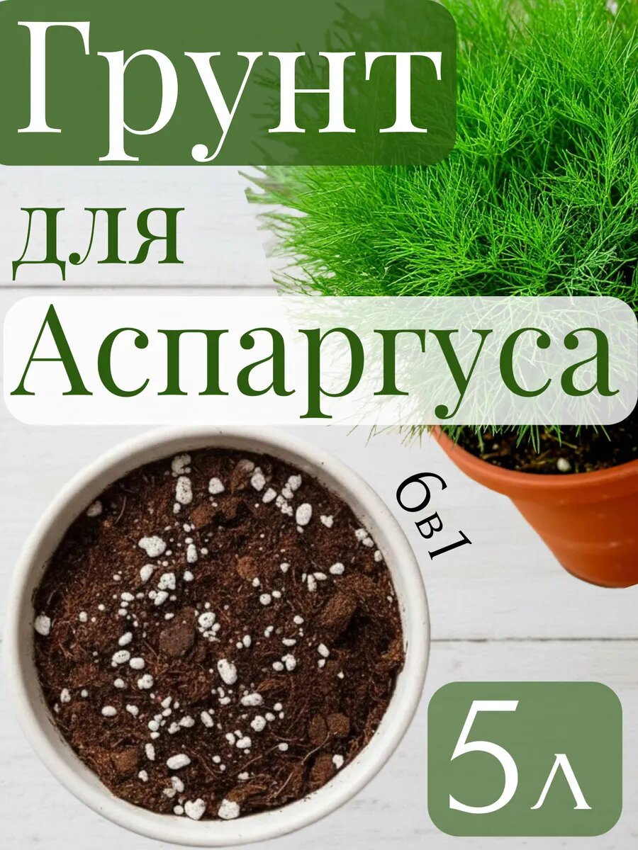Готовый грунт юля Аспаргуса 5 литров