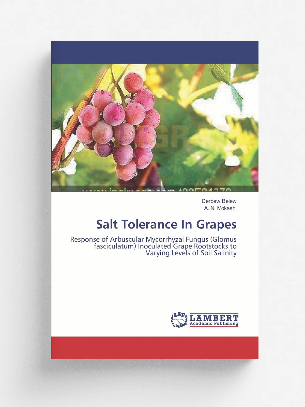 Salt Tolerance In Grapes