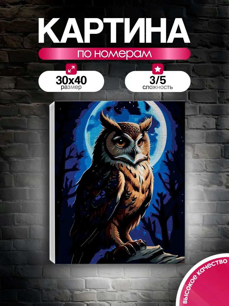 Картина по номерам 30x40 Филин под луной