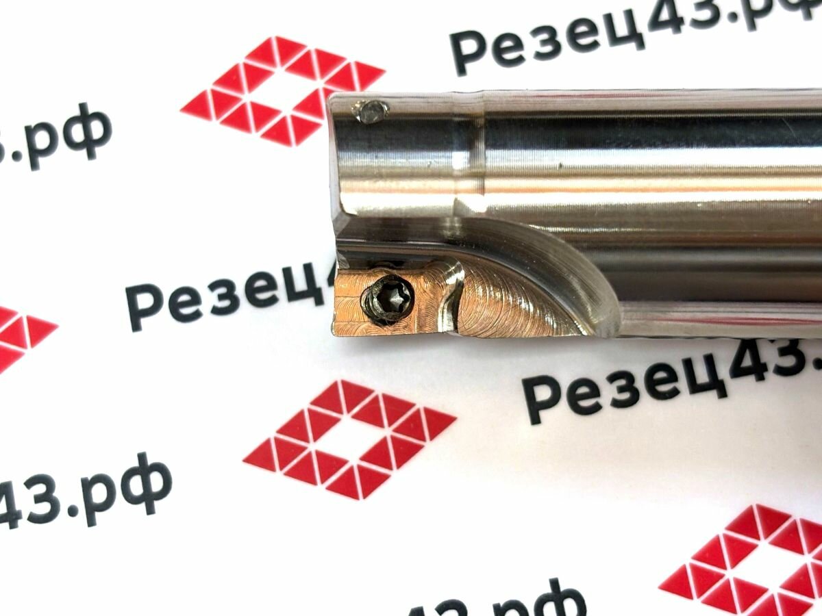 Фреза R390-20-200-C20-2T-11-B под сменные пластины