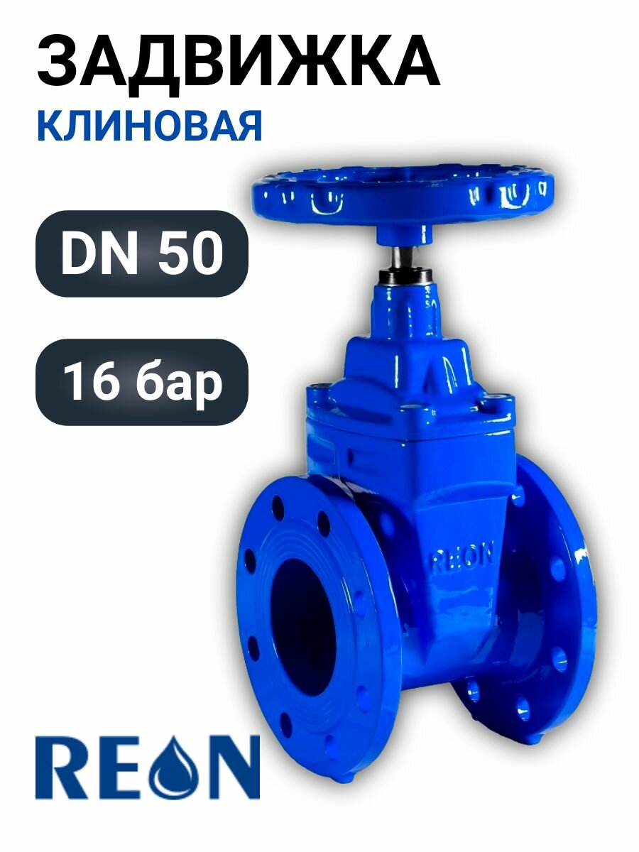 Задвижка чугунная DN 50 мм с обрезиненным клином REON тип RSV04