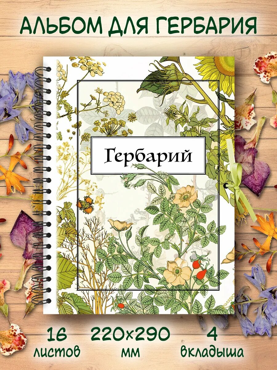 Альбом для гербария и коллекционирования "Подсолнух", размер 22см*30см