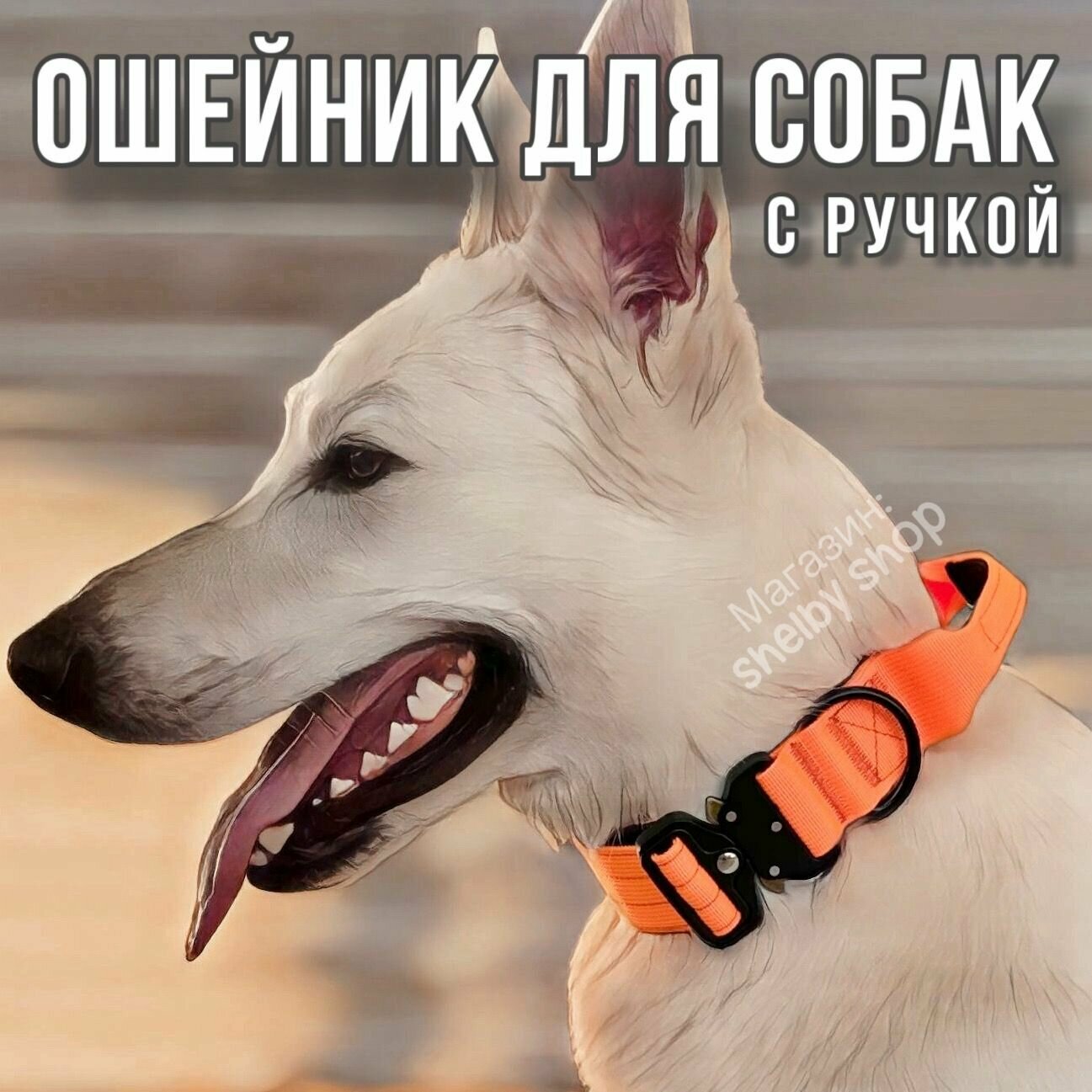 Ошейник для собак с ручкой и замком кобра