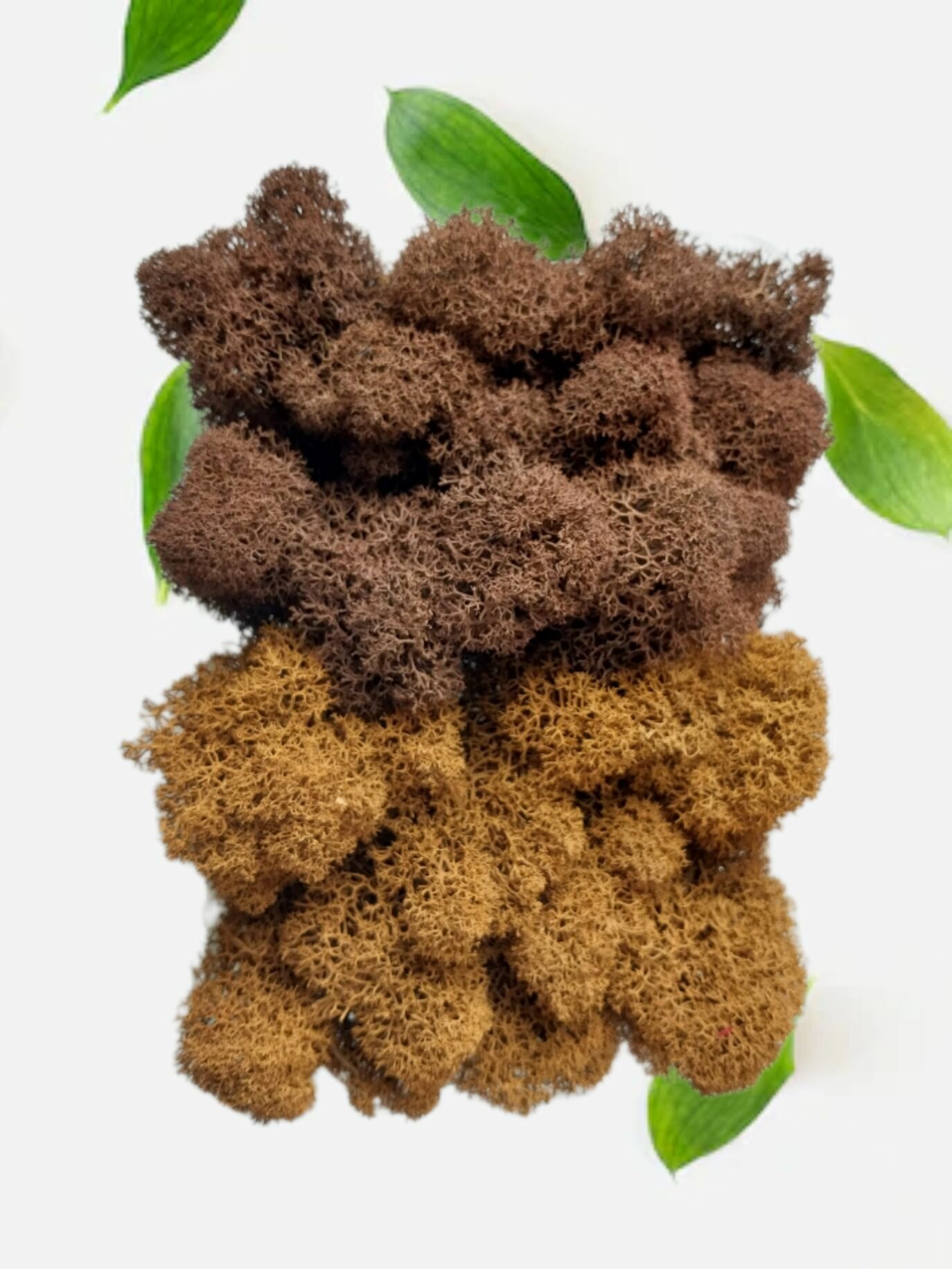 Мох стабилизированный набор - Охра-Коричневый, 100 гр