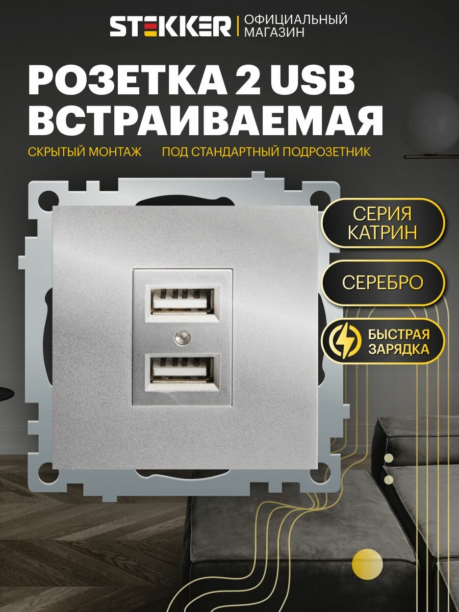 Розетка двойная встраиваемая / Розетка с usb 250B 2,1А (механизм), серебро сталь, Катрин Stekker GLS10-7115-03 39588