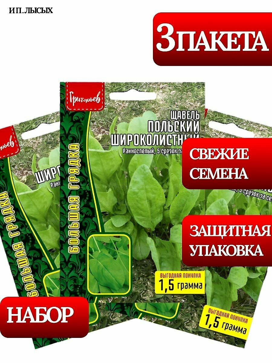 Семена Щавель "Польский Широколистный"