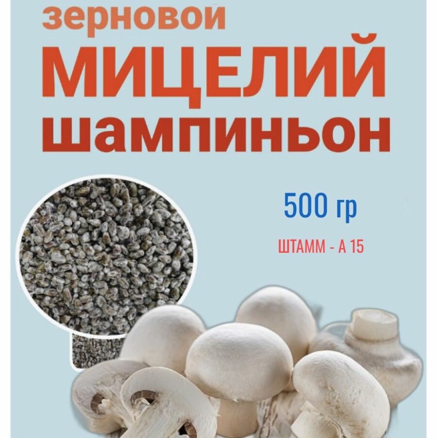 Мицелий грибов шампиньонов белых зерновой (штамм А15) - 500г.