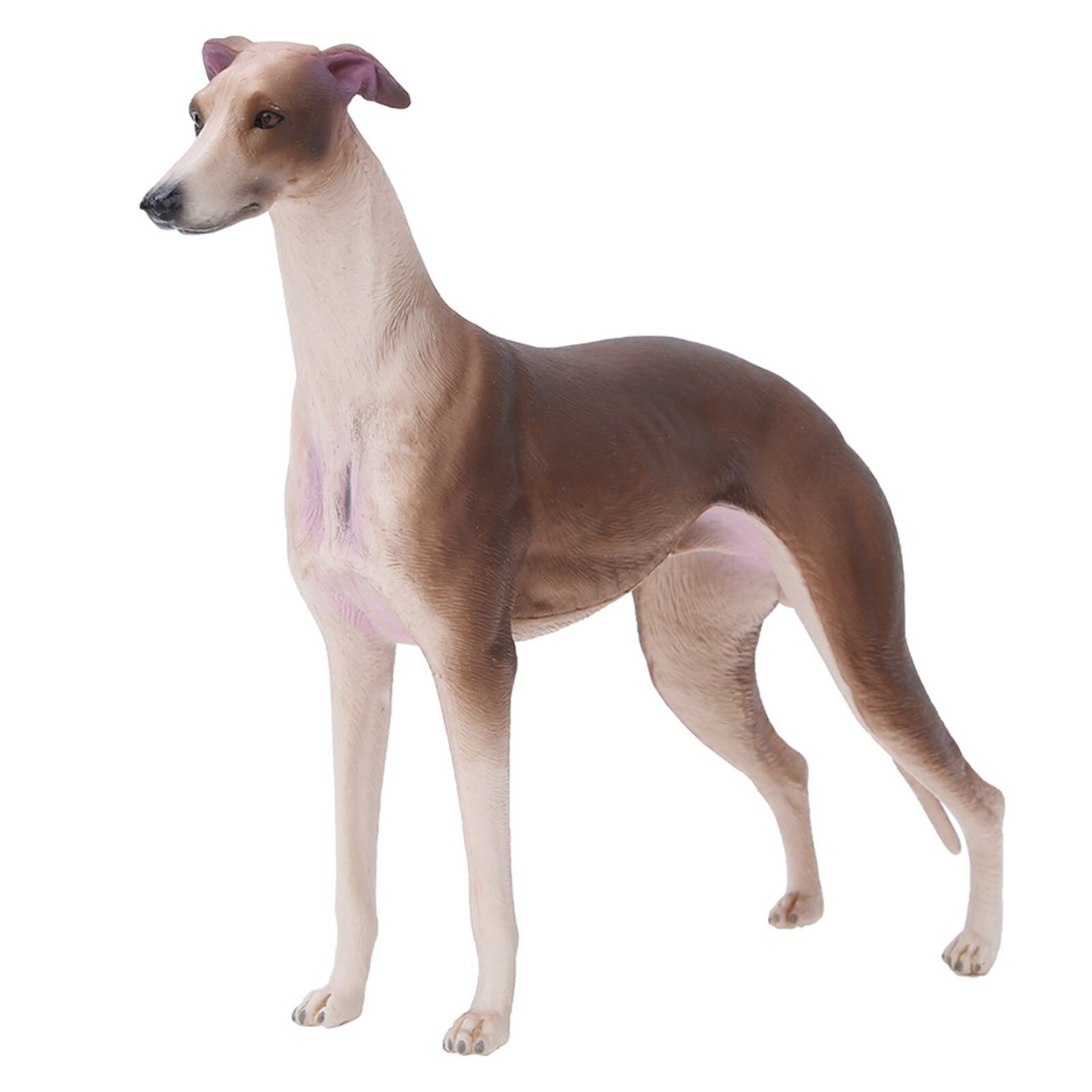 Моделирование коричневого борзы