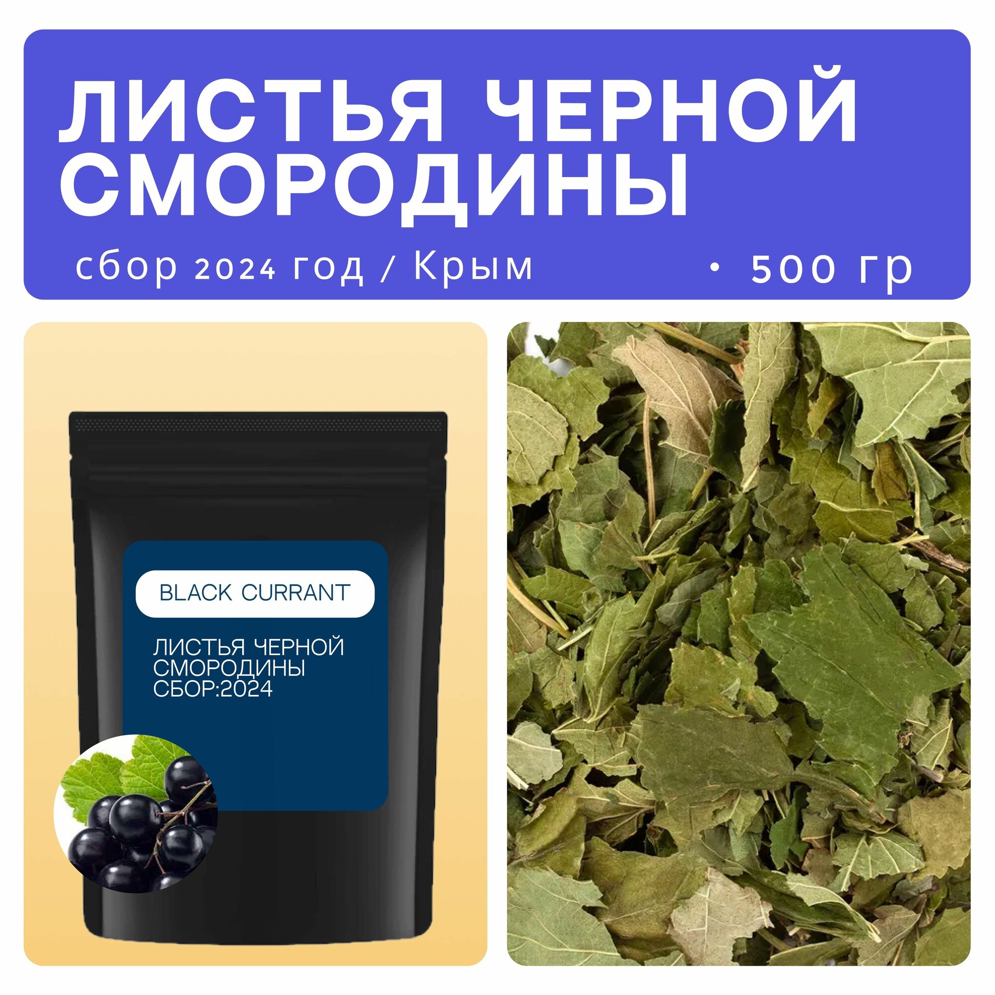 Лист Смородины