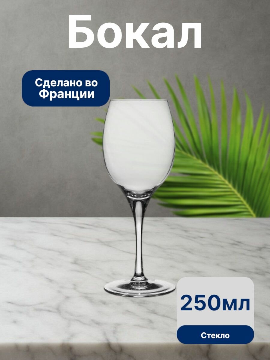 Бокал, Mikasa, Vivario, 250 мл, хрусталь, Франция