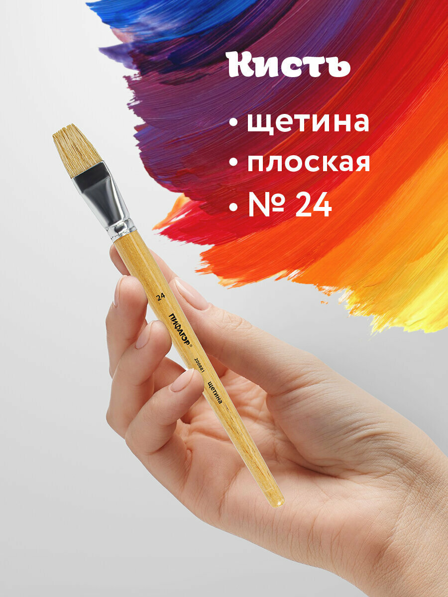 Кисть / кисточка для рисования Пифагор, щетина, плоская, № 24, деревянная лакированная ручка, пакет с подвесом, 200881
