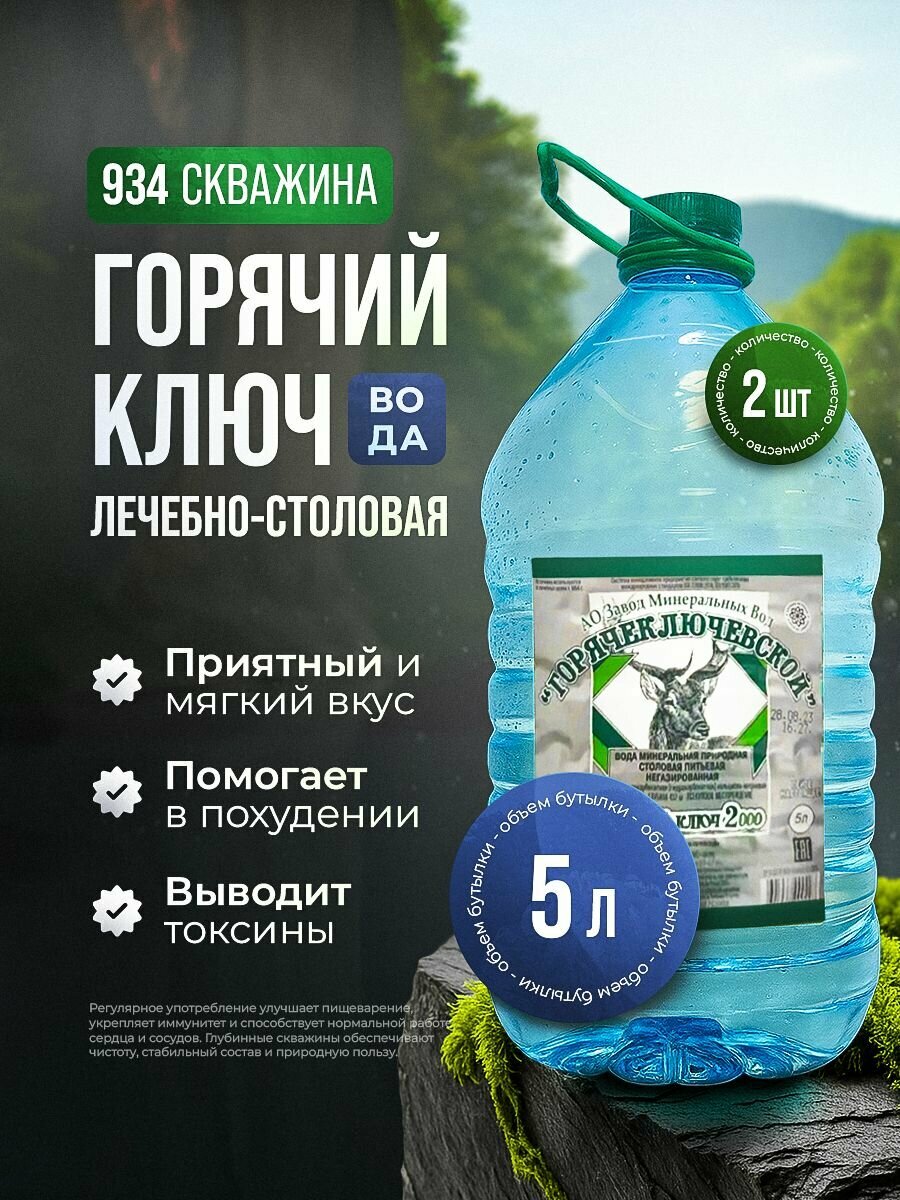 Минеральная вода "Горячий Ключ 2000", 5 л, питьевая негазированная, лечебная, 2 шт.