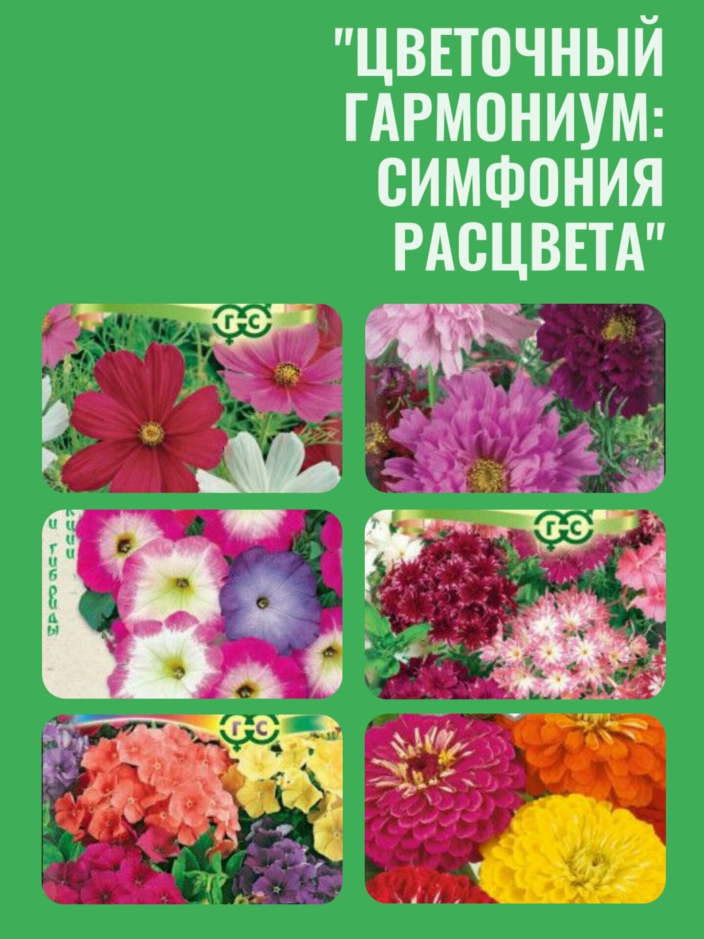 Семена цветов набор "Цветочный Гармониум: Симфония Расцвета" 6 пакетов