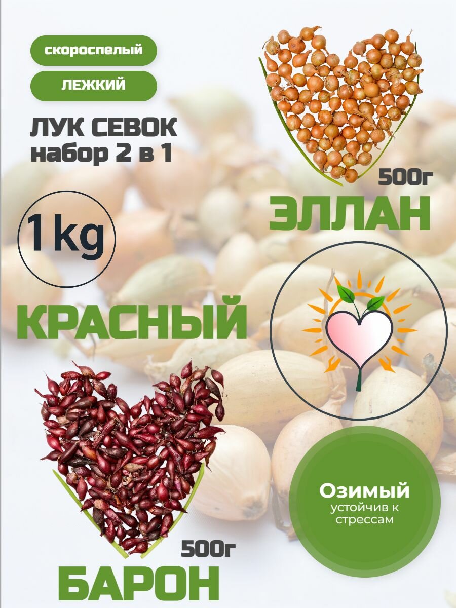 Набор для посадки: лук Эллан 500 г + лук Красный Барон 500 г / 2 сорта в комплекте / Жёлтый и красный севок / 1 кг для репки и зелени
