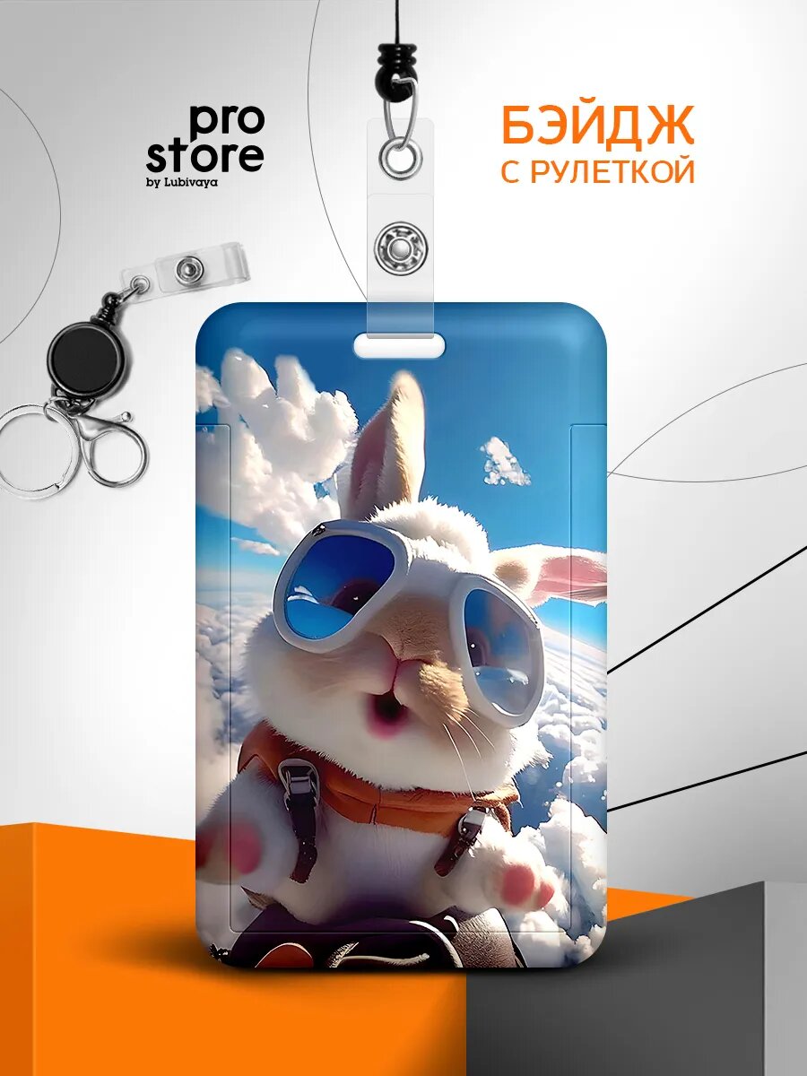 Бейдж для пропуска, с рулеткой, с рисунком, для школьника, пластиковый