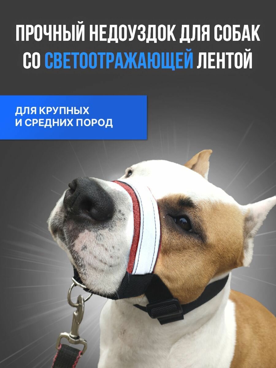 Недоуздок(халти) для крупных и средних собак