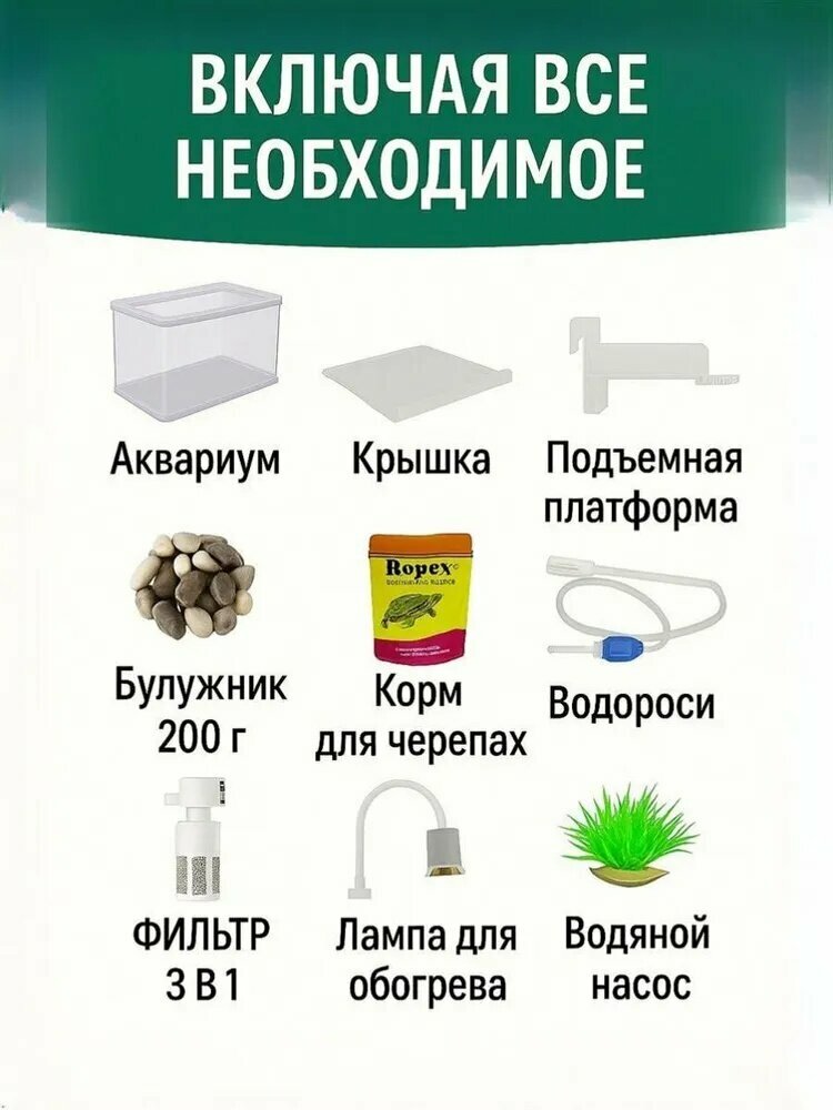 Аквариум — фото 1