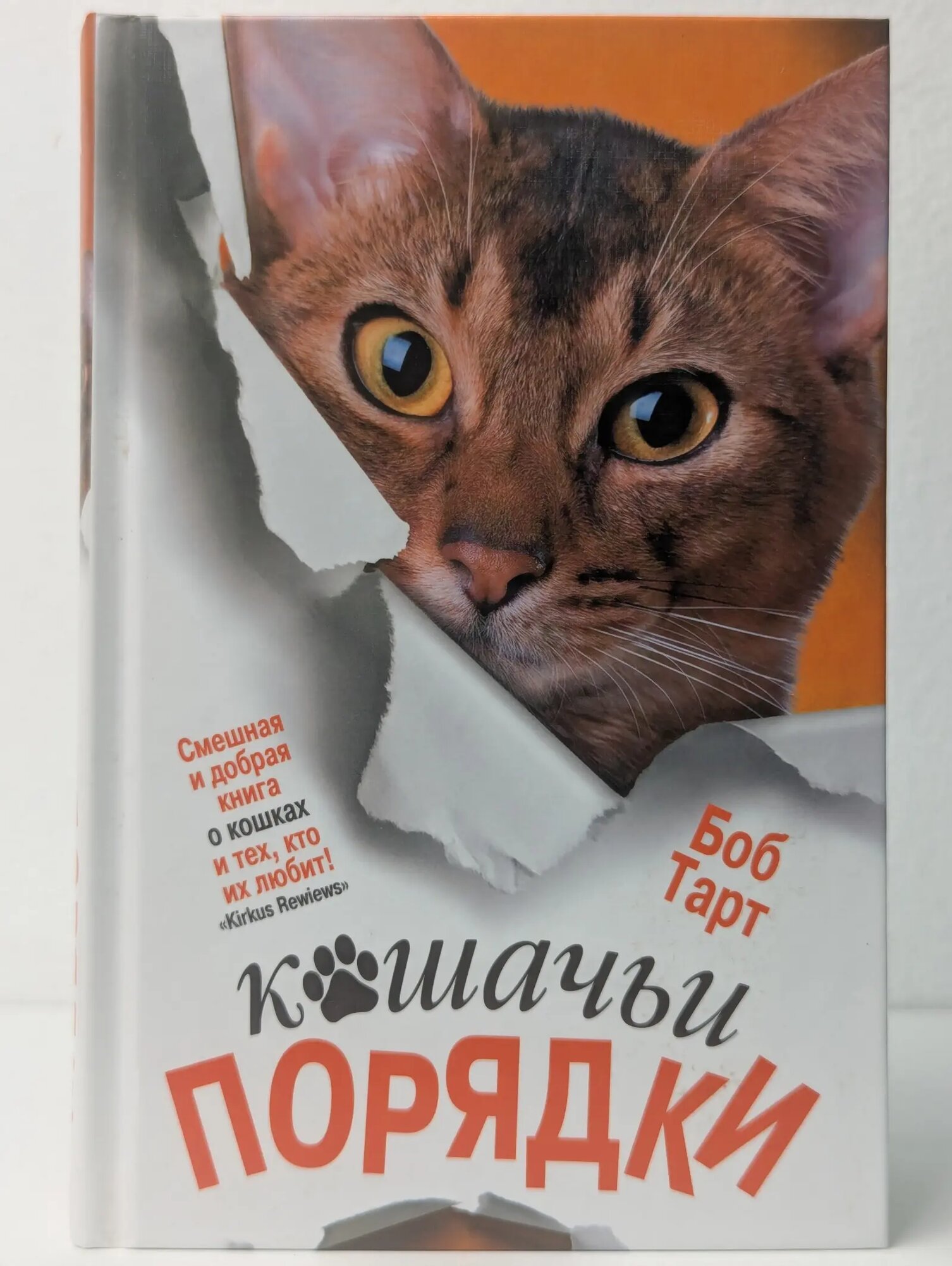 Кошачьи порядки Тарт Боб 2014