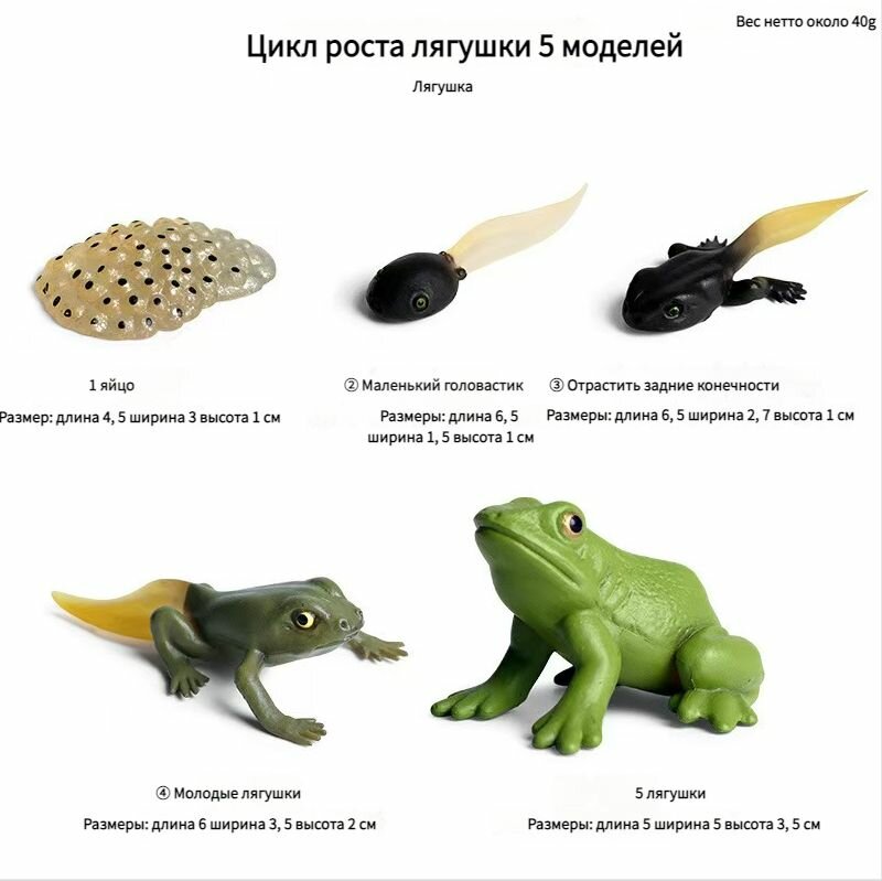 Набор реалистичных моделей морских существ коллекция акул и китообразных