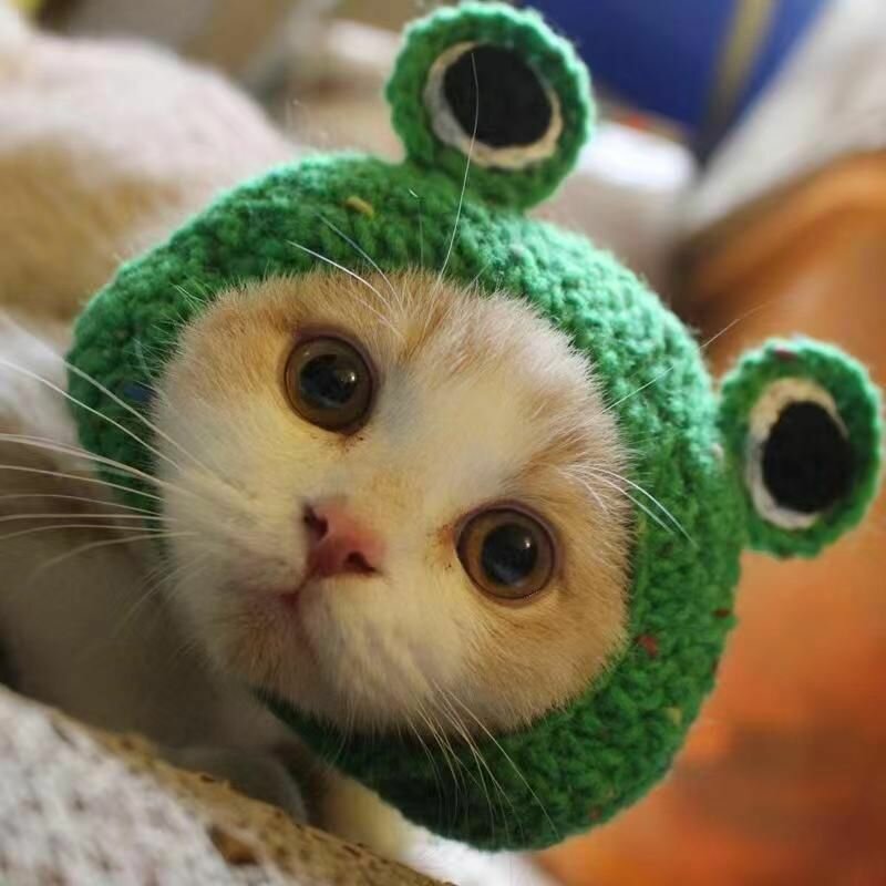 Головной Убор Косплея для Котов и Собак