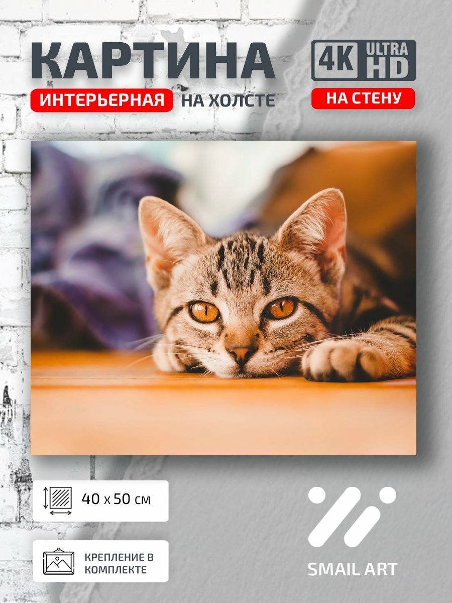 Картина на холсте интерьерная 40 на 50 на стену Пол Animal для кафе animal style интерьер