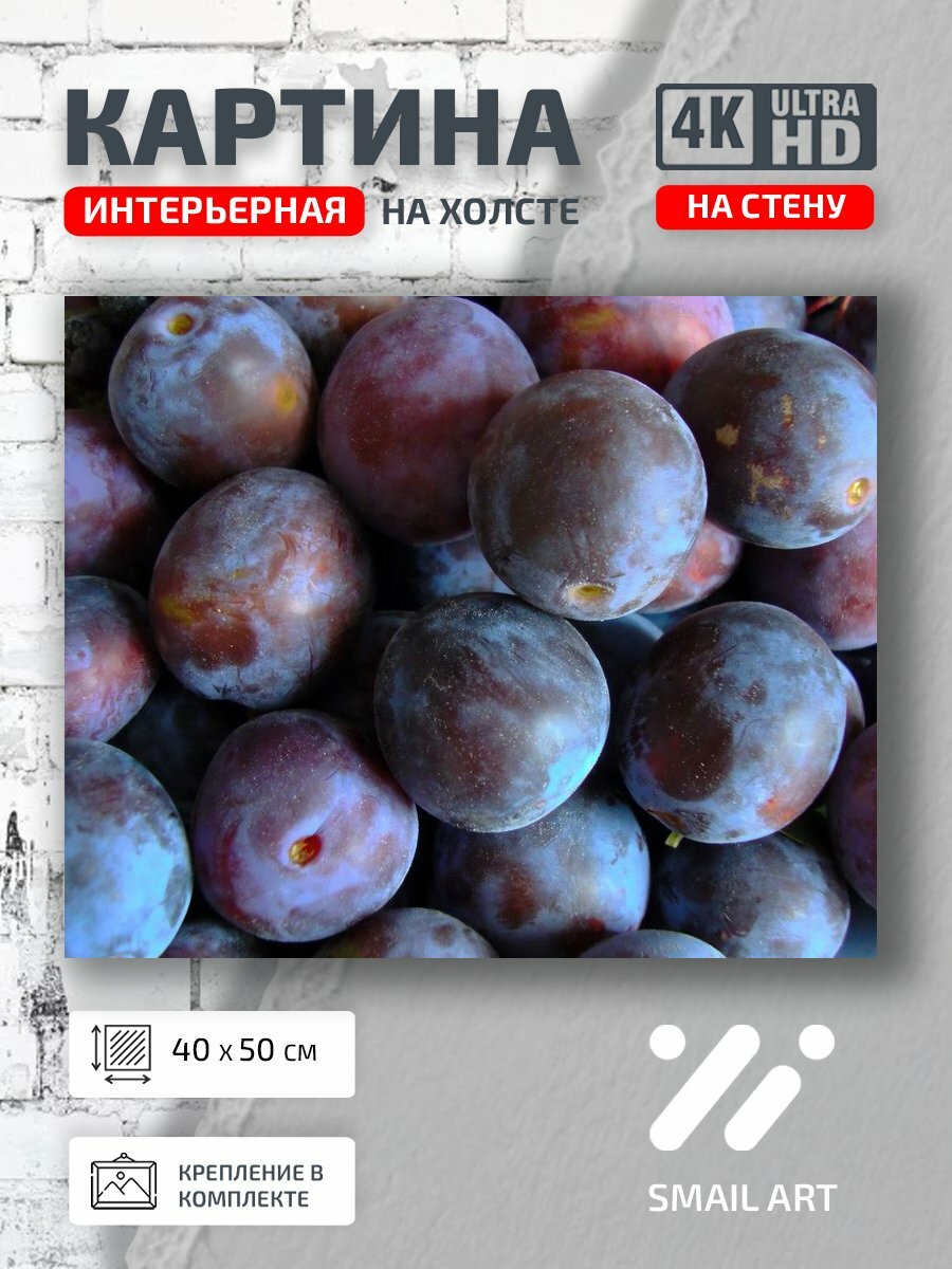 Картина на холсте интерьерная 40 на 50 на стену Урожай Food для кухни кулинария интерьер