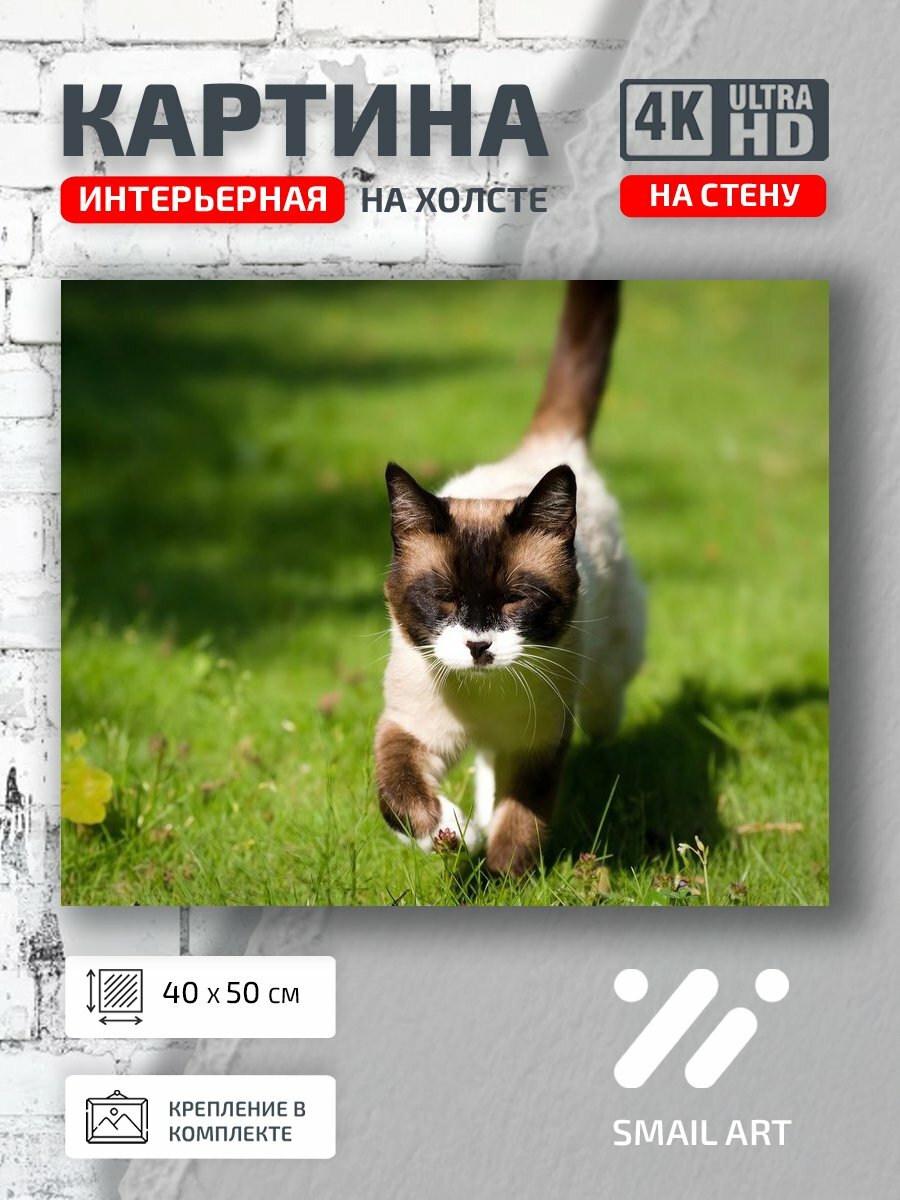Картина на холсте интерьерная 40 на 50 на стену Траве Animal для кабинета animal style