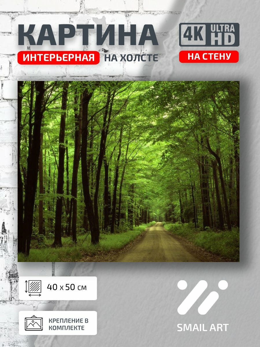 Картина на холсте интерьерная 40 на 50 на стену Лето Landscape для офиса пейзаж интерьер