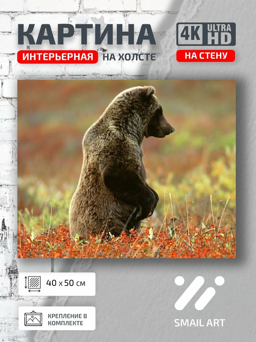 Картина на холсте интерьерная 40 на 50 на стену Гризли Animal для кафе animal style декор