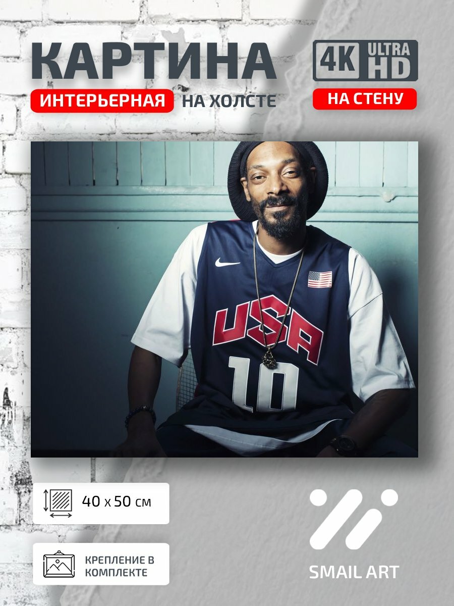 Картина на холсте интерьерная 40 на 50 на стену Реппер dogg для кафе animal style интерьер