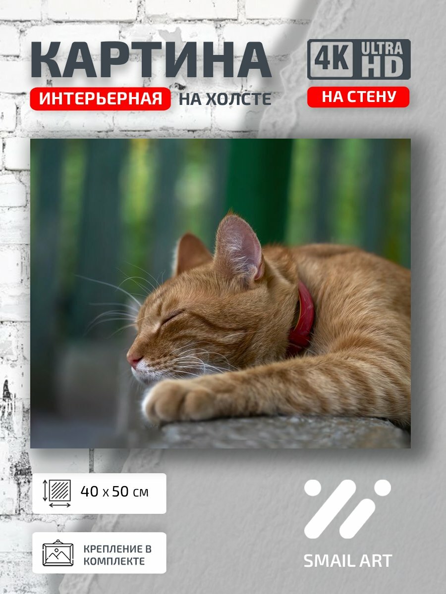 Картина на холсте интерьерная 40 на 50 на стену Сон Animal для кабинета animal style декор