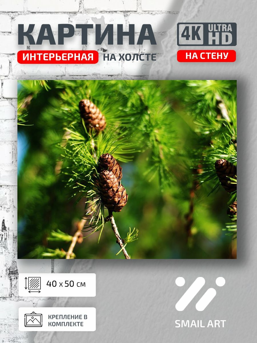 Картина на холсте интерьерная 40 на 50 на стену Сосна pine для гостиной пейзаж интерьер