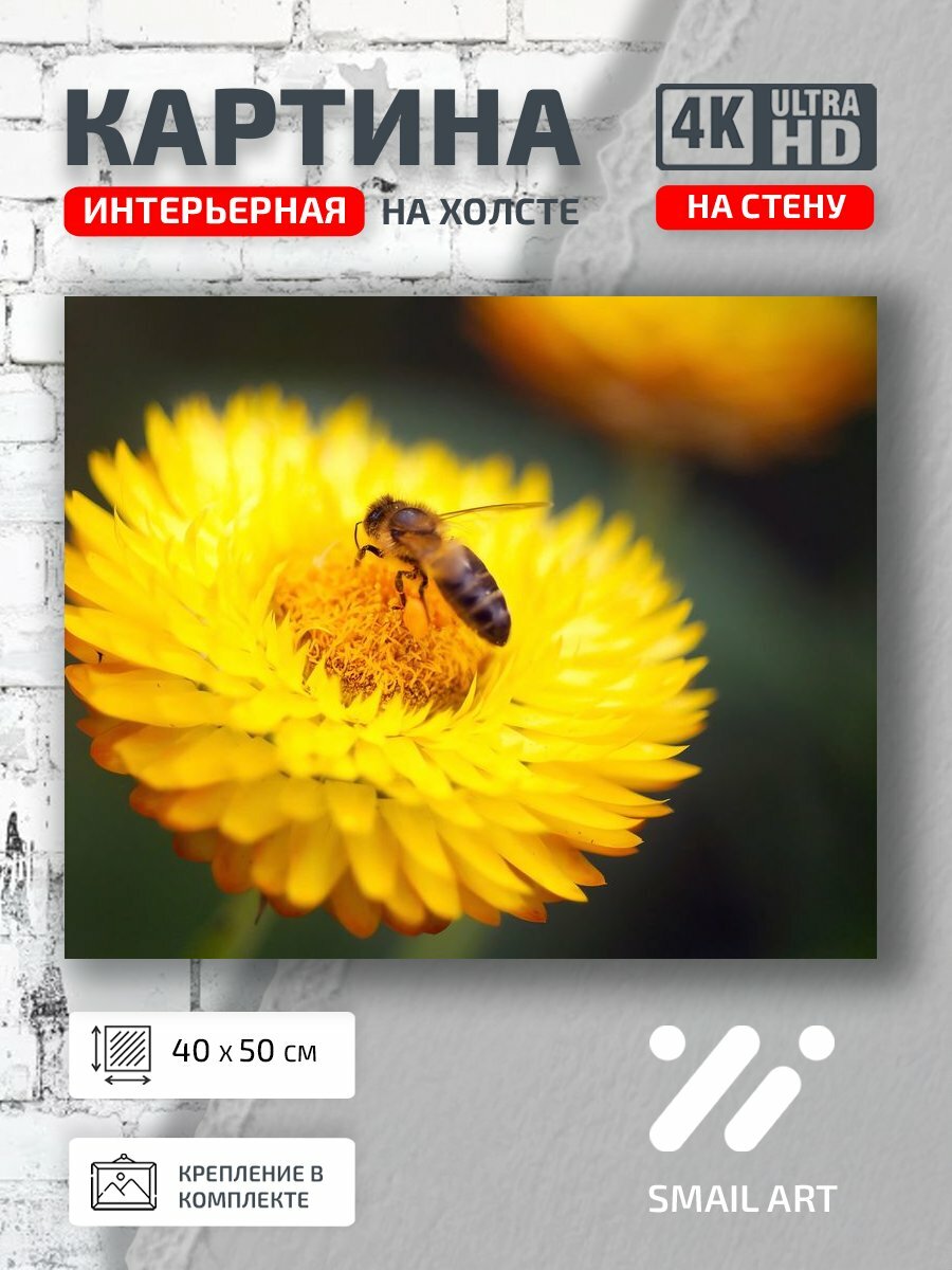 Картина на холсте интерьерная 40 на 50 на стену Цветке Landscape для кабинета пейзаж декор