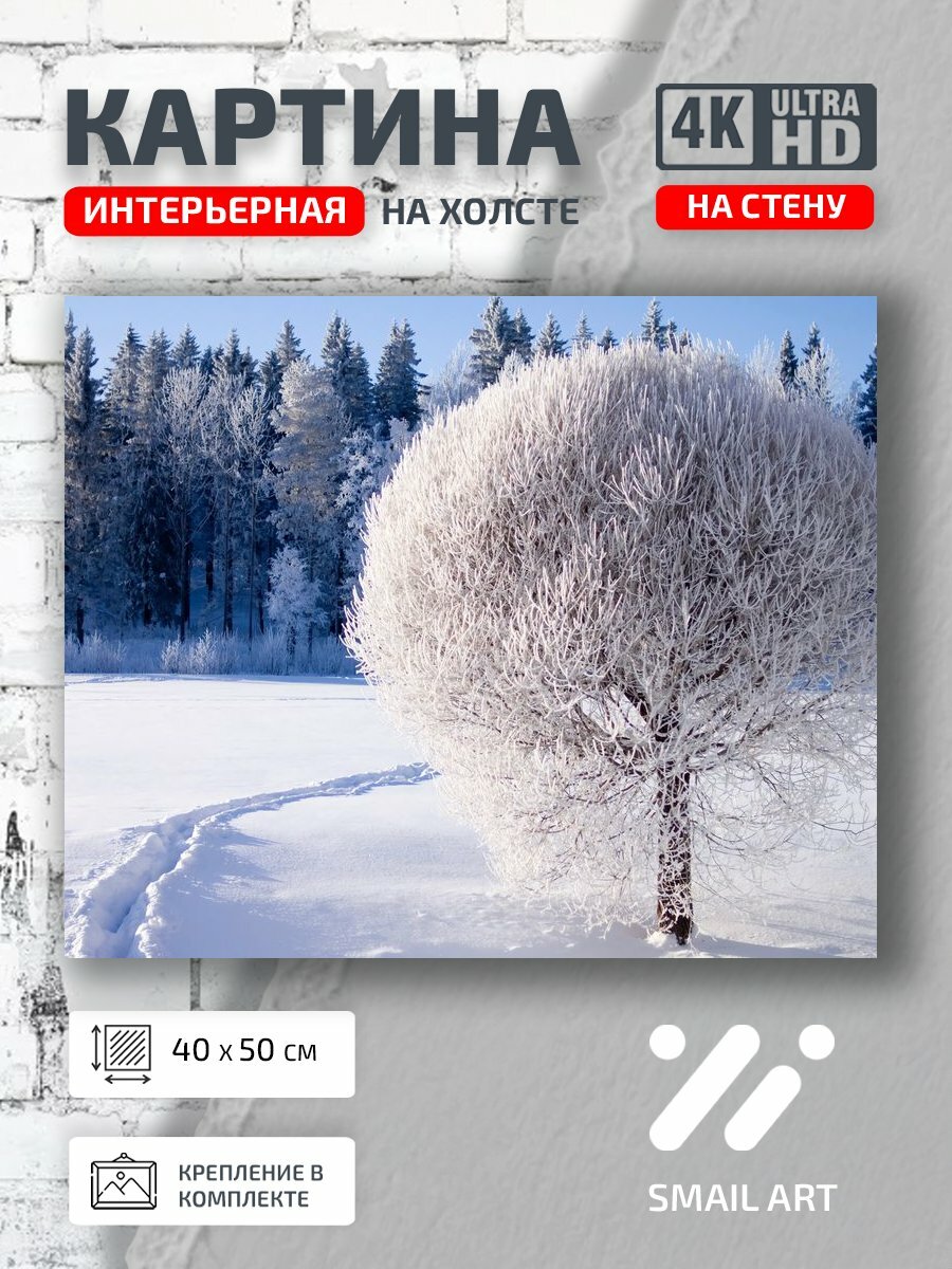 Картина на холсте интерьерная 40 на 50 на стену Зима Landscape для гостиной пейзаж интерьер