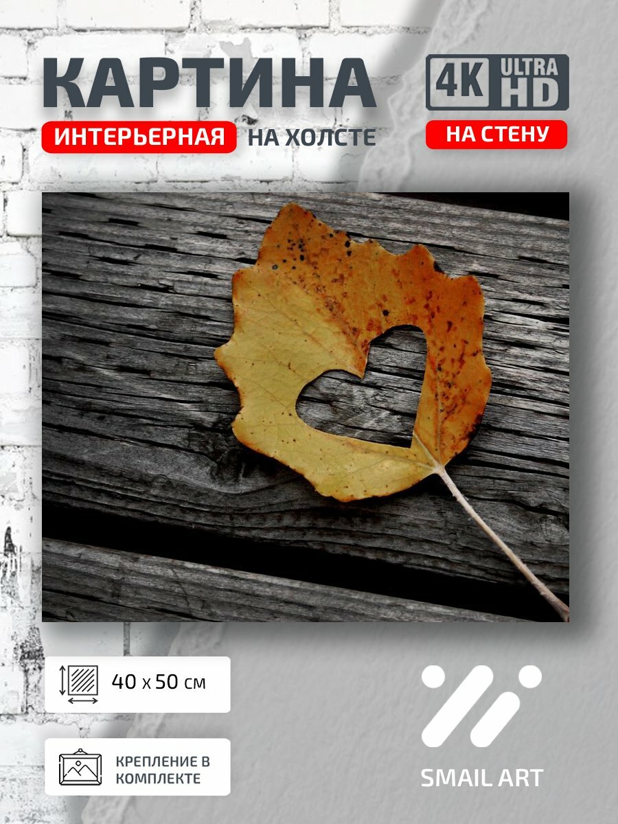 Картина на холсте интерьерная 40 на 50 на стену Листке Mood для спальни атмосфера интерьер