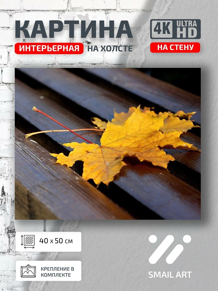 Картина на холсте интерьерная 40 на 50 на стену Макро Листья для гостиной атмосфера