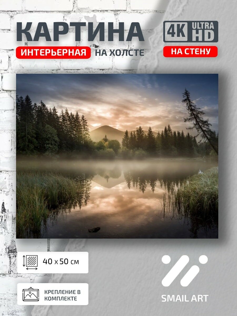 Картина на холсте интерьерная 40 на 50 на стену Природа Австрия для офиса пейзаж