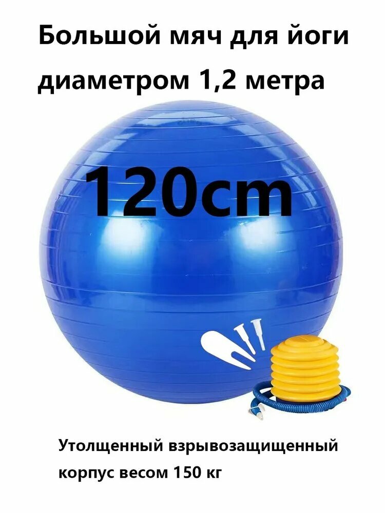 Фитбол, 2590 г — фото 1