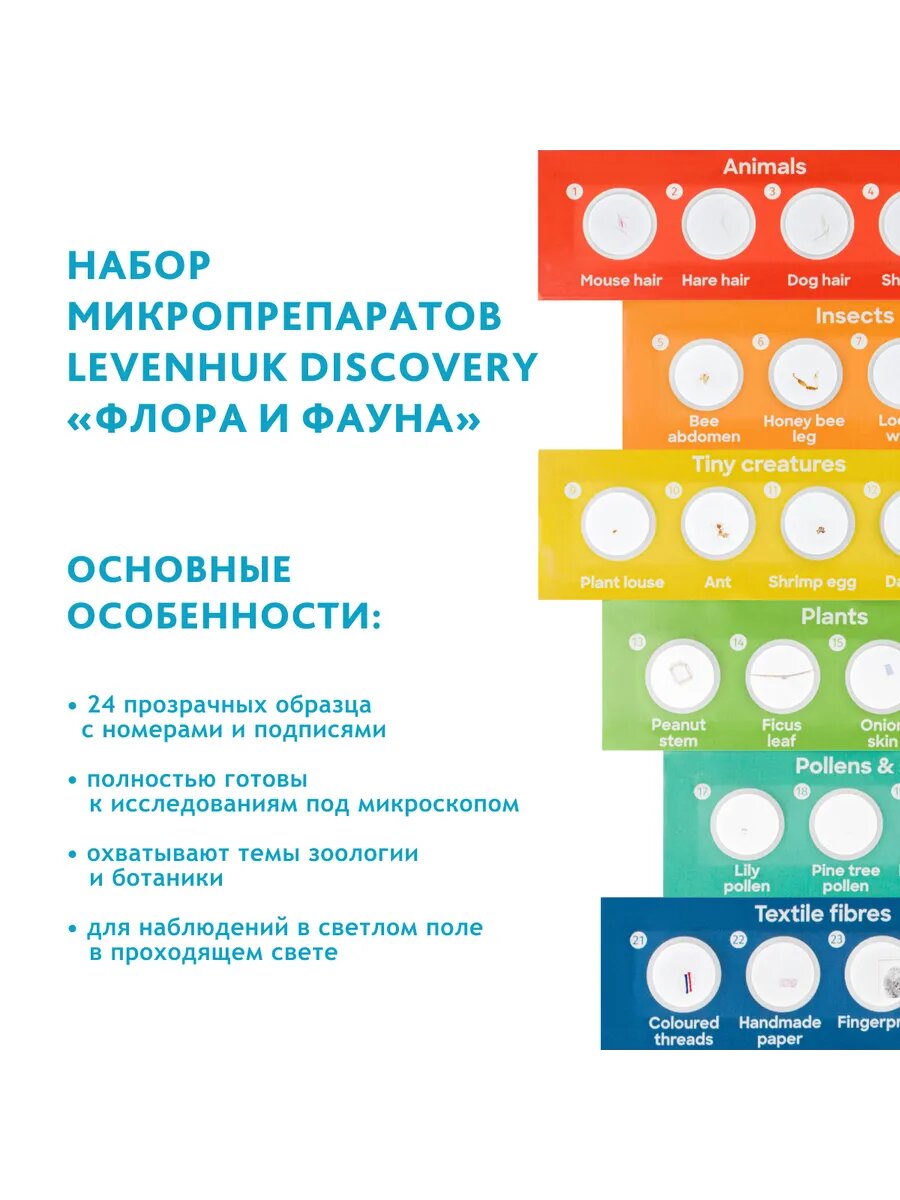 Микроскоп Levenhuk Discovery Micro, светодиодный, нижняя подсветка, книга в комплекте, 40-640 крат — фото 1