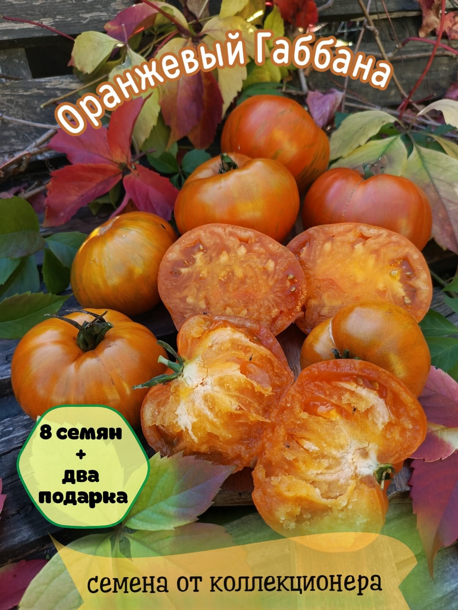 "Оранжевый Габбана", селекция Тома Вагнера, США, семена томатов