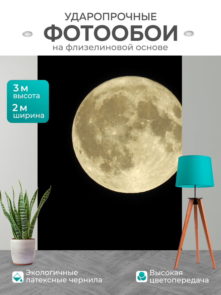 Фотообои моющиеся ударопрочные "Луна, ночь, полнолуние" 200x300 см. флизелиновые на стену